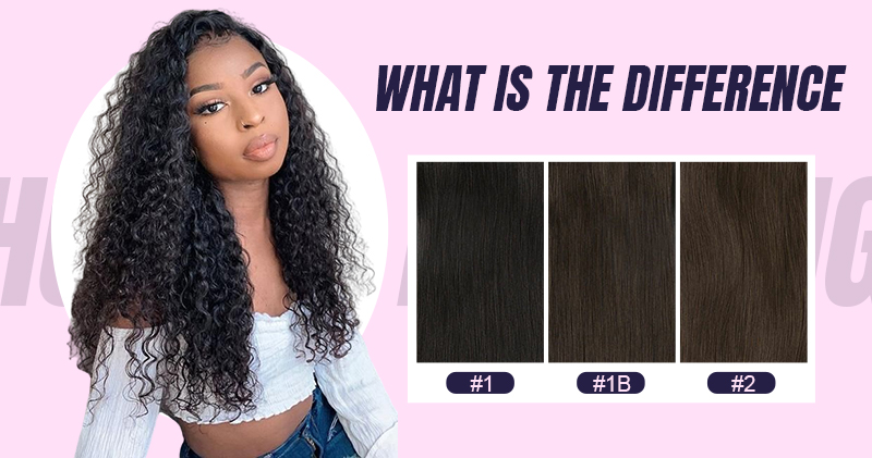#1 Vs. 1B Vs. #2 ,What Is The Difference WigFever